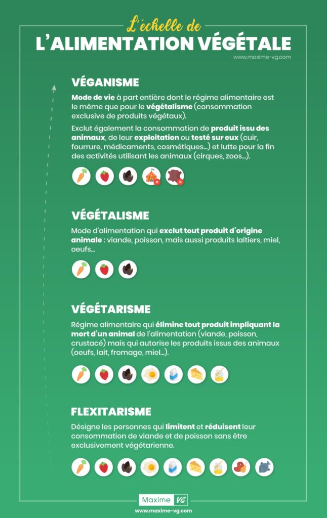 Végétarien, végétalien, végane : quelles différences ? | Maxime VG